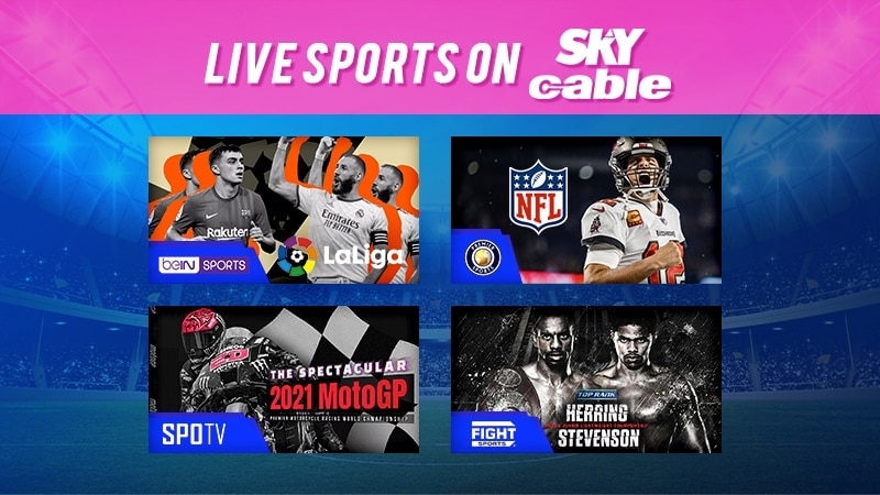 Skycable Logo
